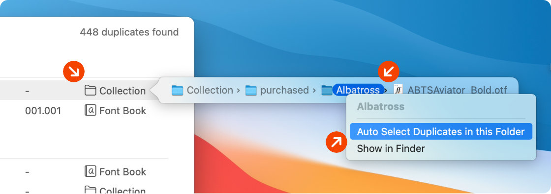 Duplicate fonts - Typeface App